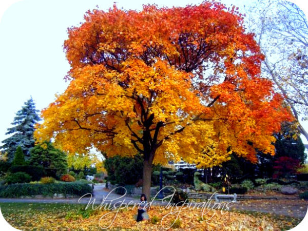 Easy to Make Red Velvet Truffles - Whispered Inspirations