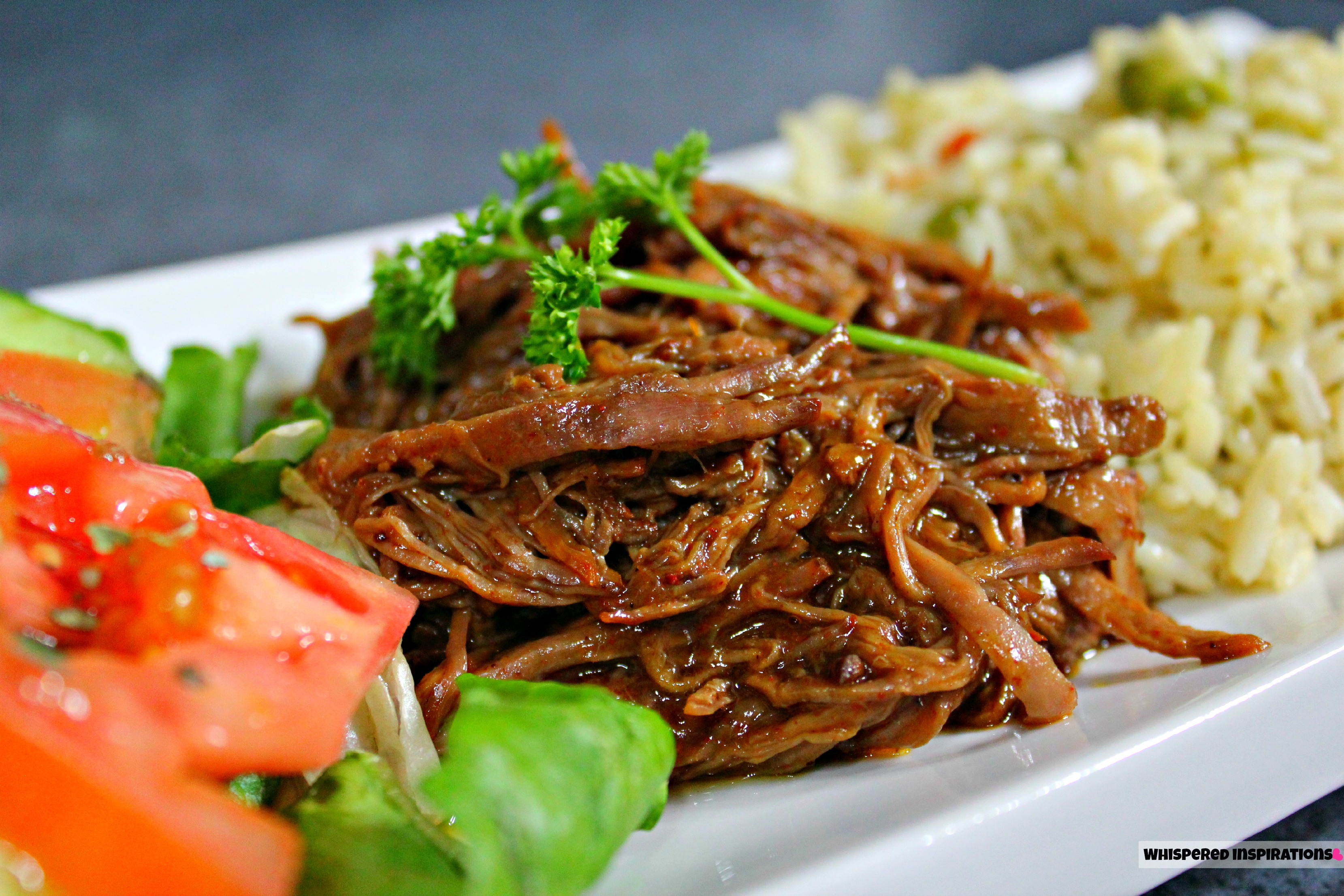 Kikk-ing It Up Guanaco Style: Kikkoman Lime Teriyaki Carne Deshilachada ...