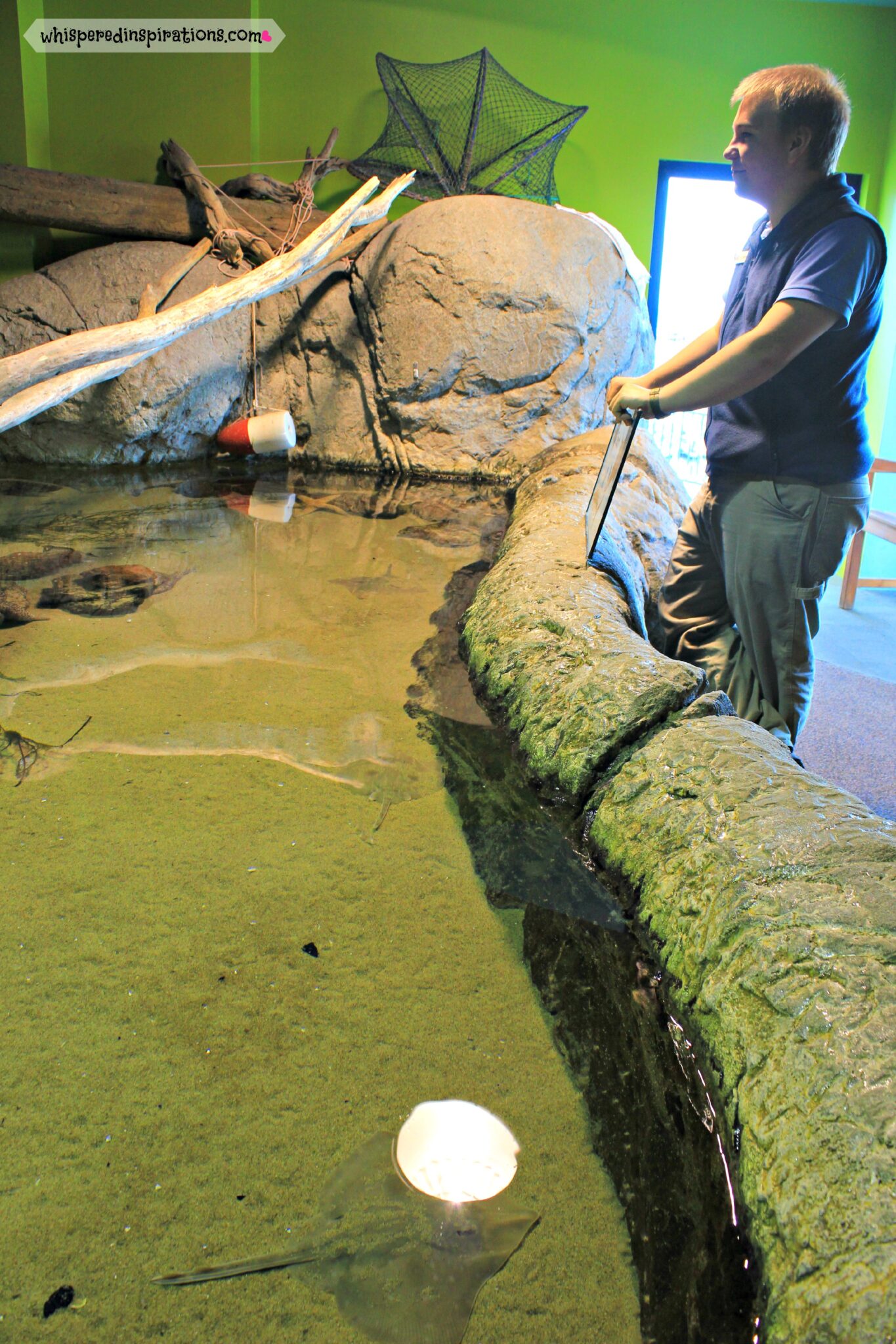 CityPASS San Francisco: The Aquarium of the Bay, Touch, Feel and ...