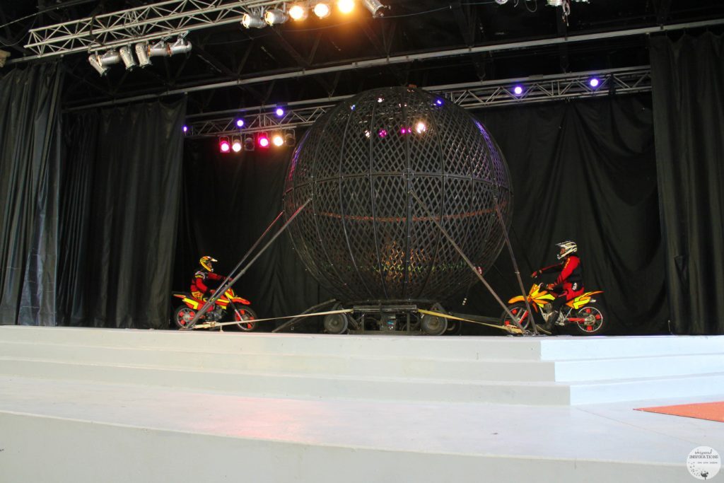 Watch the Ultimate Thrills Circus at Canada's Wonderland! #CWbestday ...