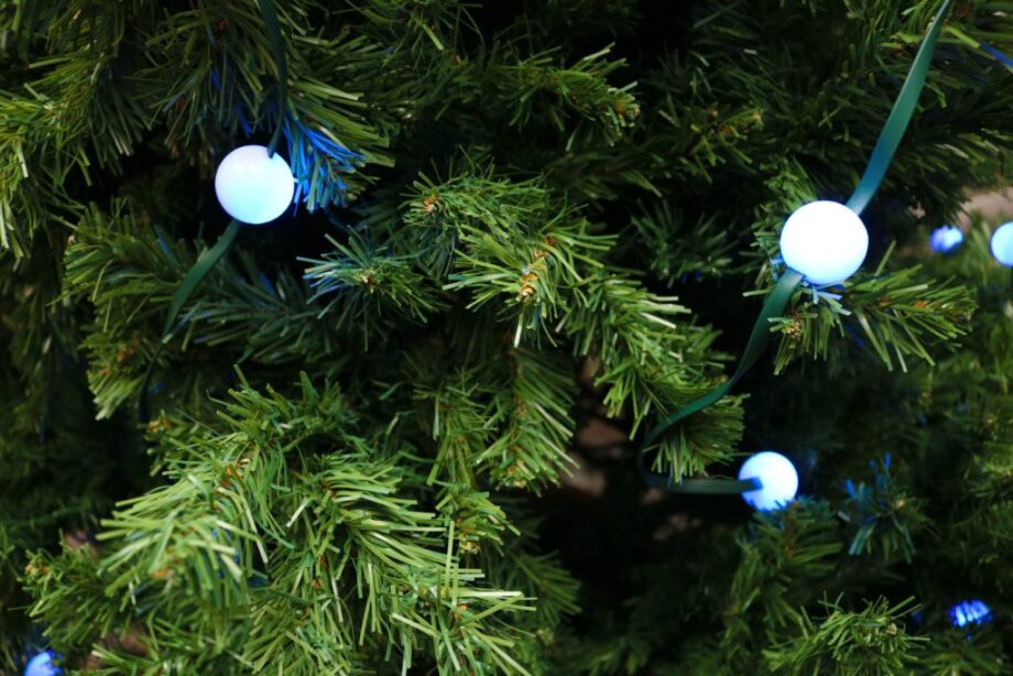 Forget Tangled Christmas Lights this Year with Tree Dazzler Christmas ...