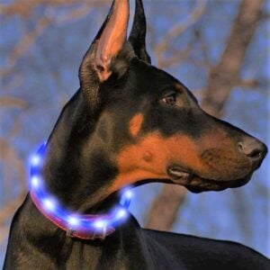 Holiday Gift Guide - Whispered Inspirations