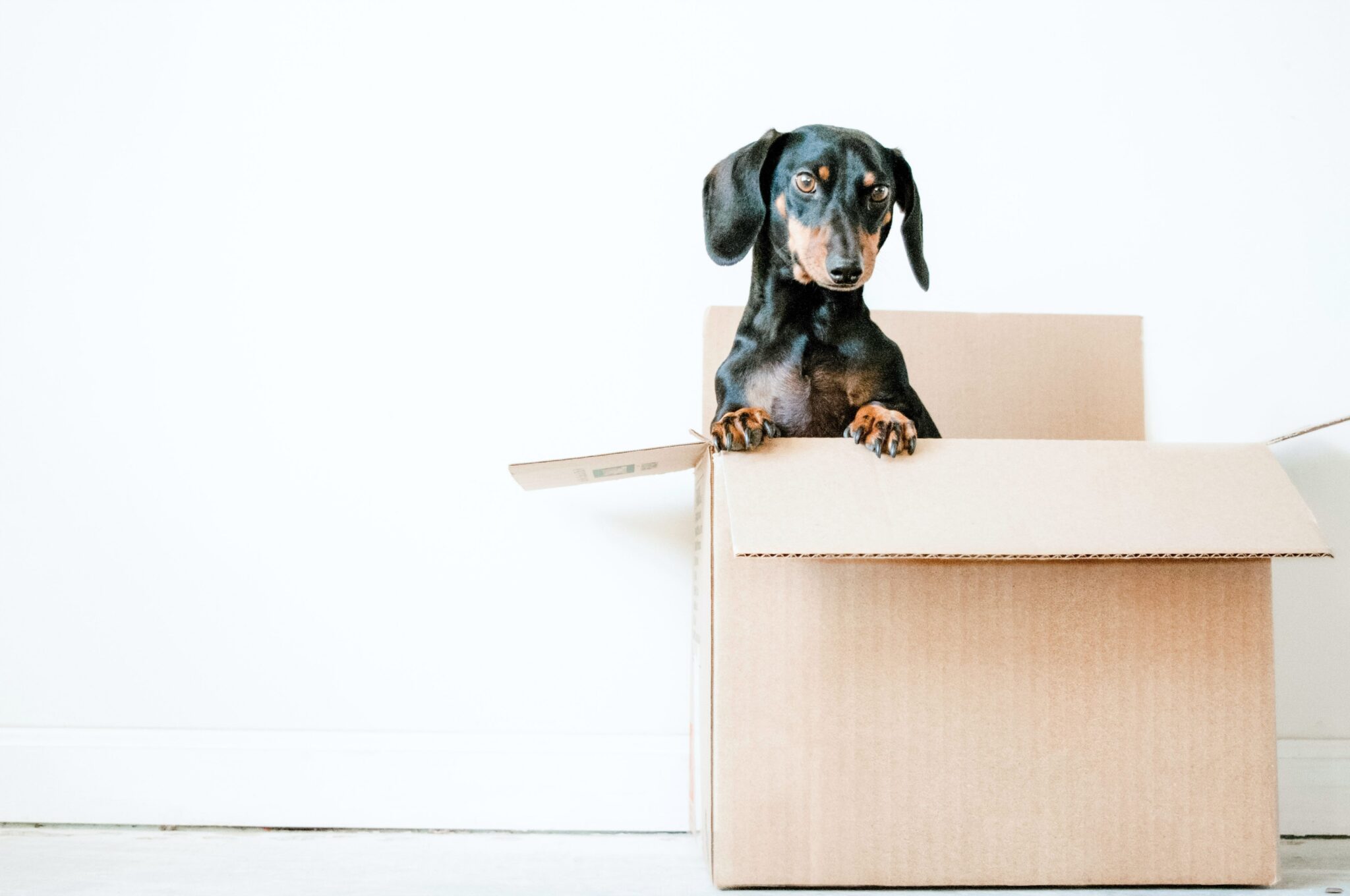 Going Through The Process Of Moving Out - Whispered Inspirations