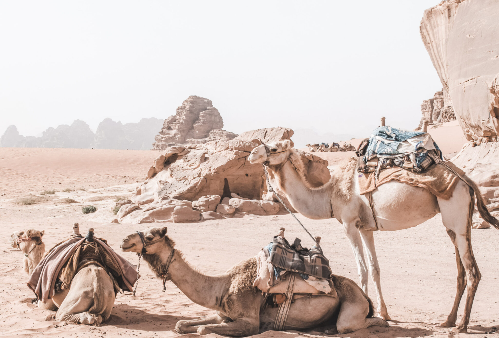 Exploring Jordan: Everything You Need to Know - Whispered Inspirations