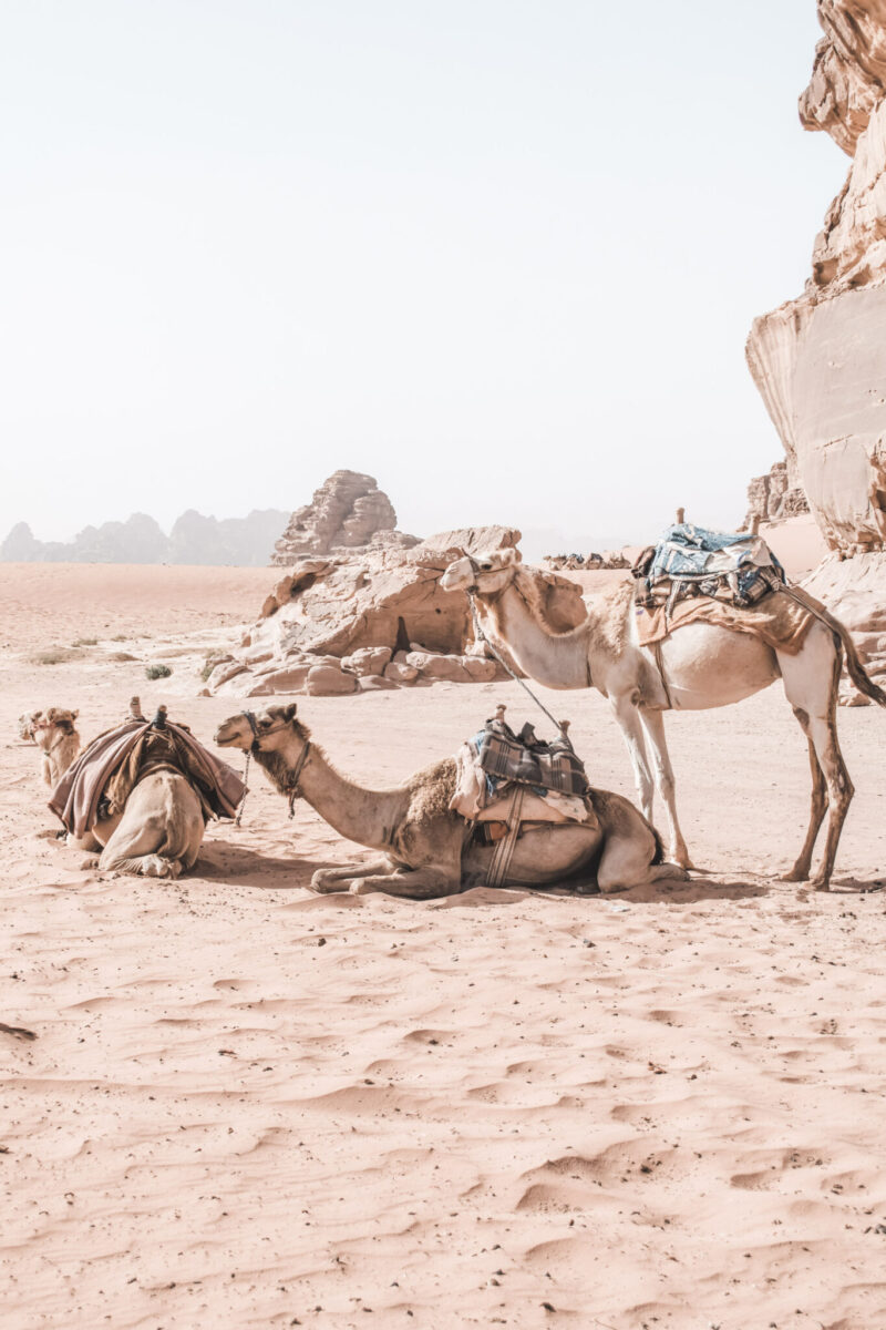 Exploring Jordan: Everything You Need to Know - Whispered Inspirations