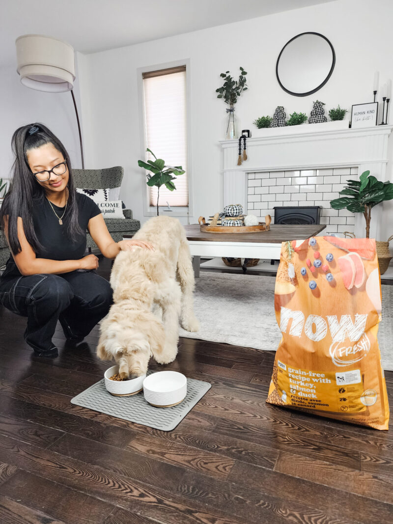 Falling in Love with NOW FRESH Kibble - Whispered Inspirations