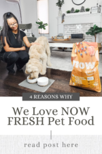 Falling in Love with NOW FRESH Kibble - Whispered Inspirations