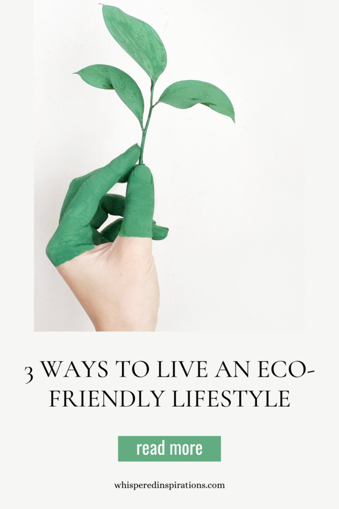3 Ways to Live a More Eco-Friendly Lifestyle - Whispered Inspirations