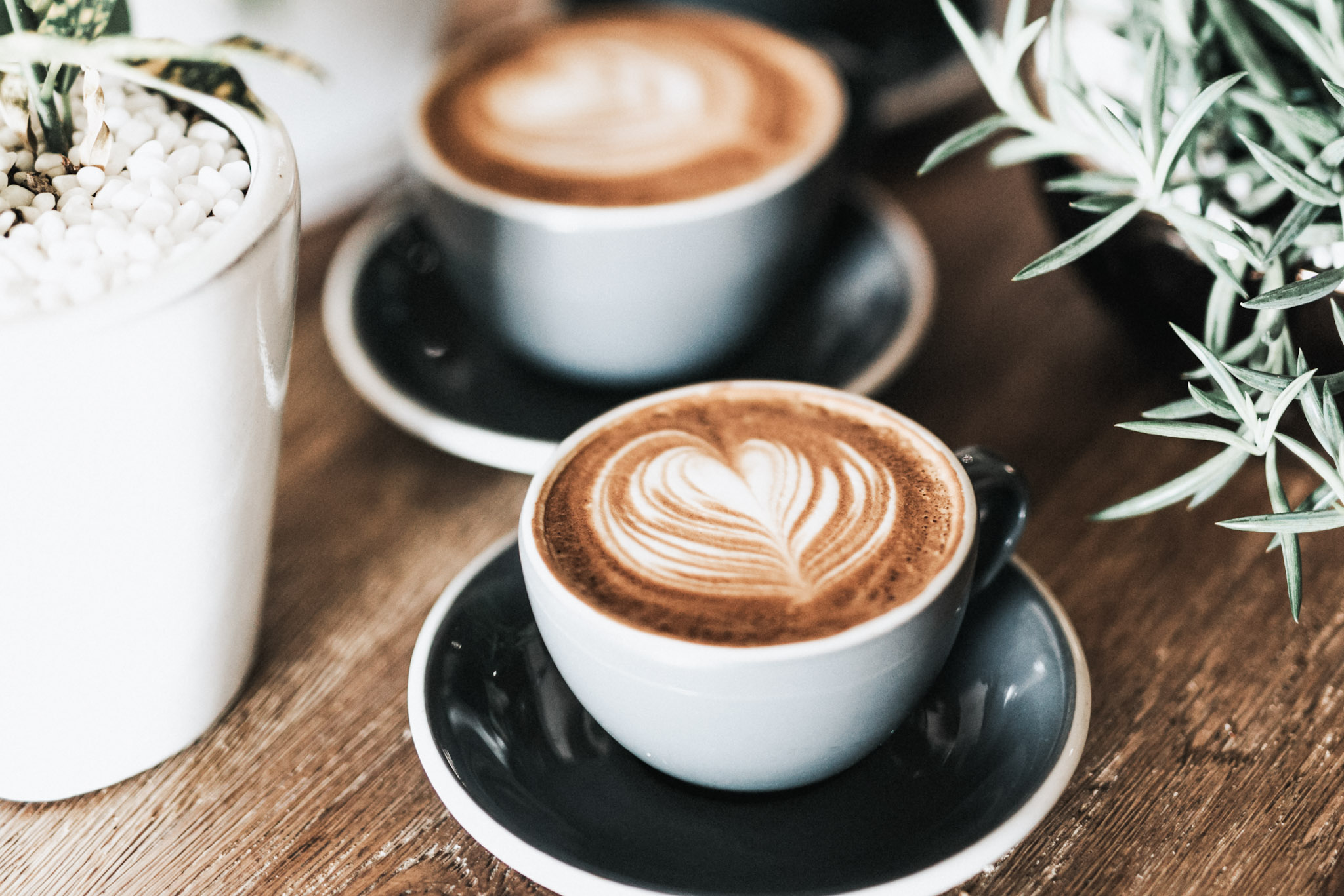 Discovering the World of Coffee: A Comprehensive Guide to Buying Coffee ...