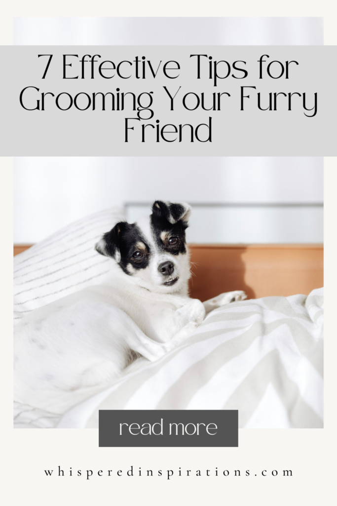 7 Effective Tips for Grooming Your Furry Friend - Whispered Inspirations