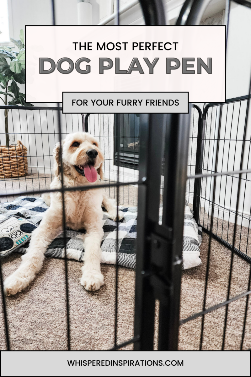 The Perfect Dog Play Pen from Yaheetech - Whispered Inspirations