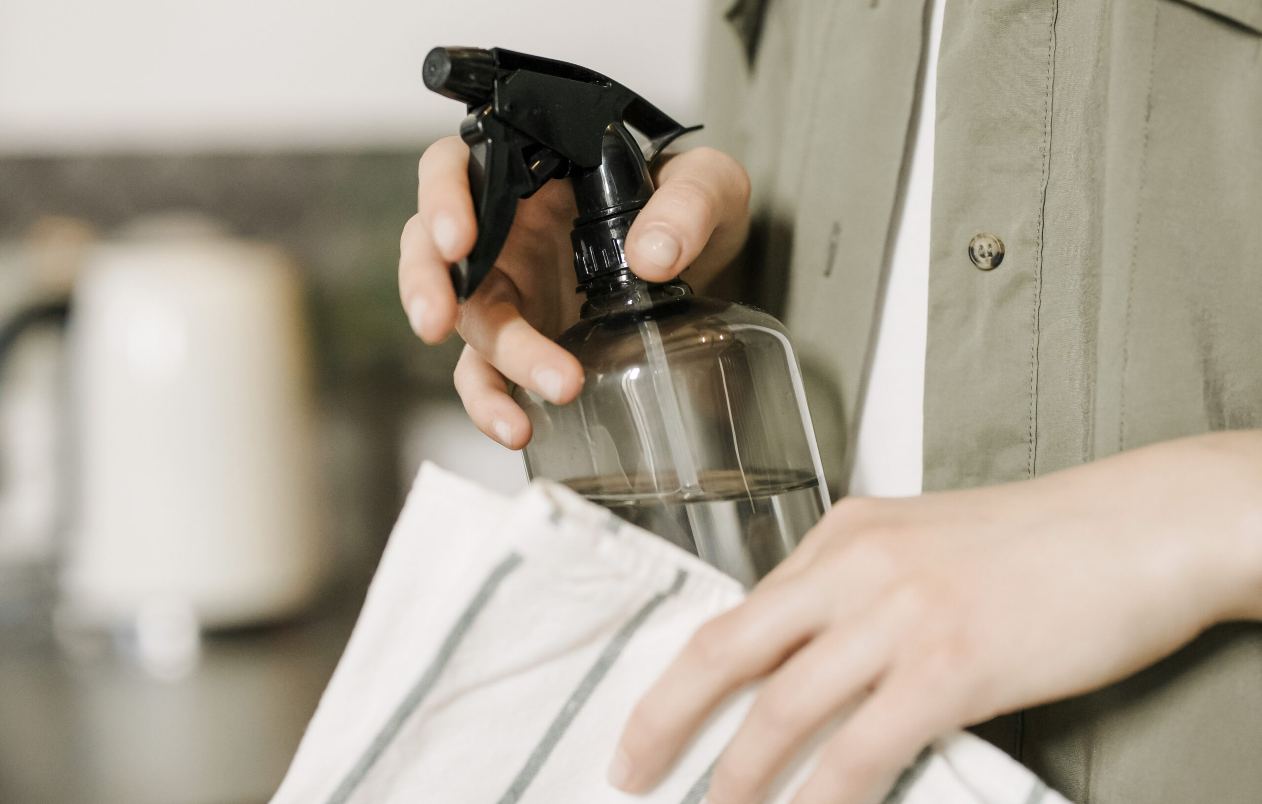 Eco-Friendly Alternatives to Conventional Household Cleaning Products ...