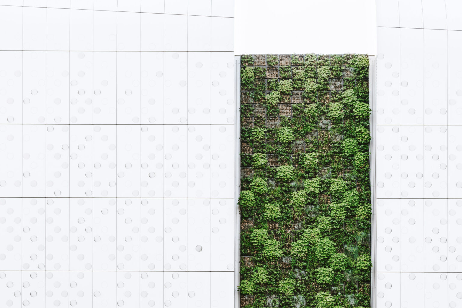 Transform Your Space with Green Wall Décor - Whispered Inspirations