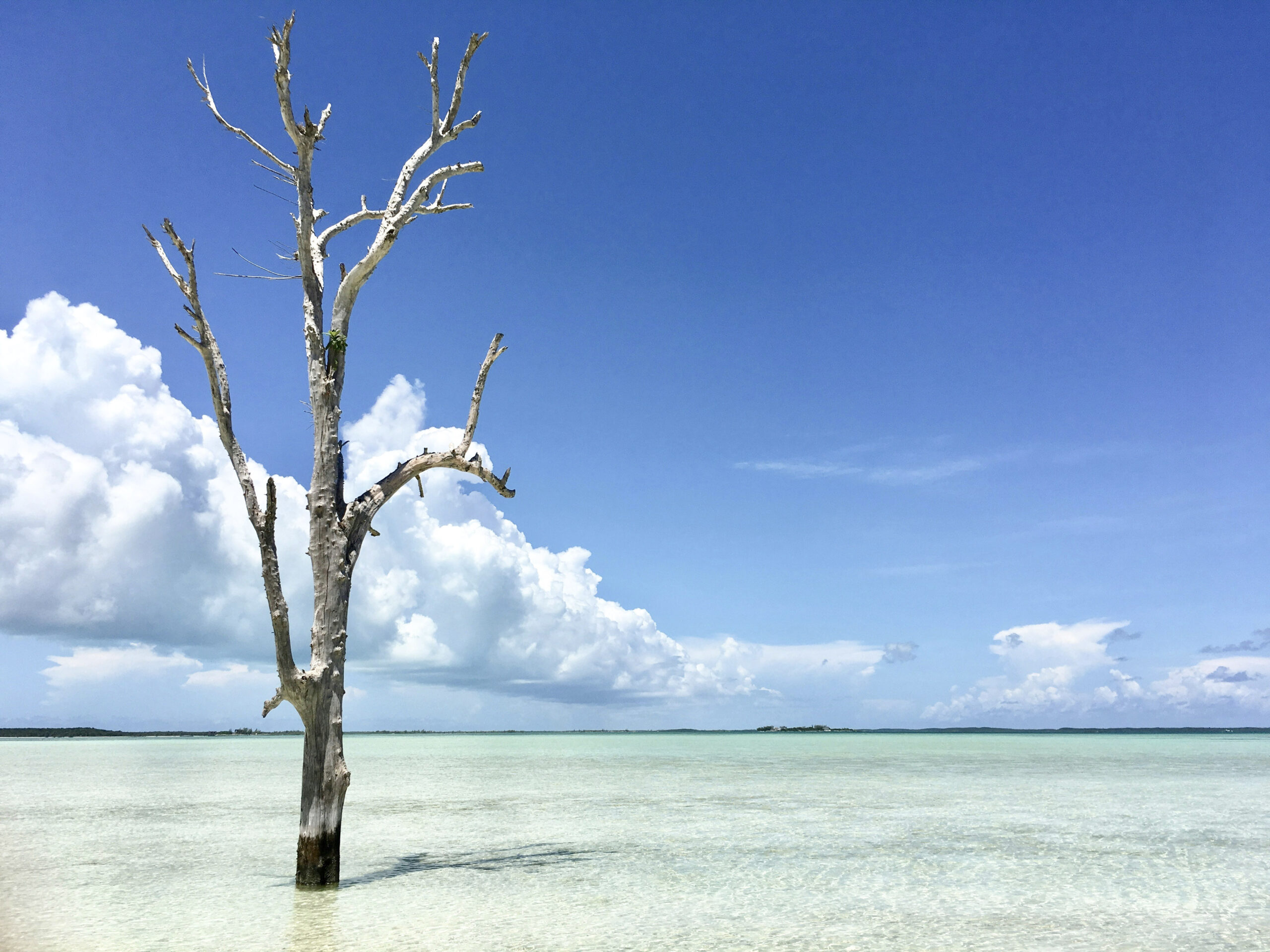 How to Make the Most of Your Boat Exploration in Harbour Island ...