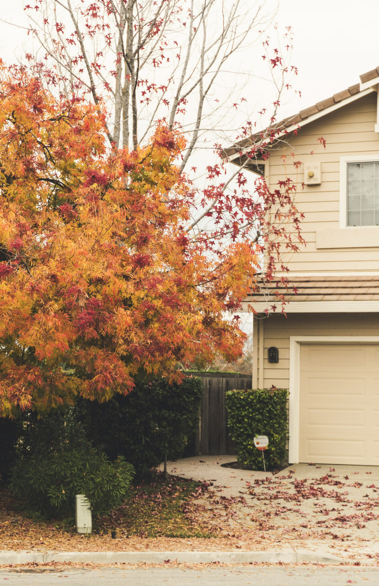 Fall Move-In Checklist for Tenants - Whispered Inspirations